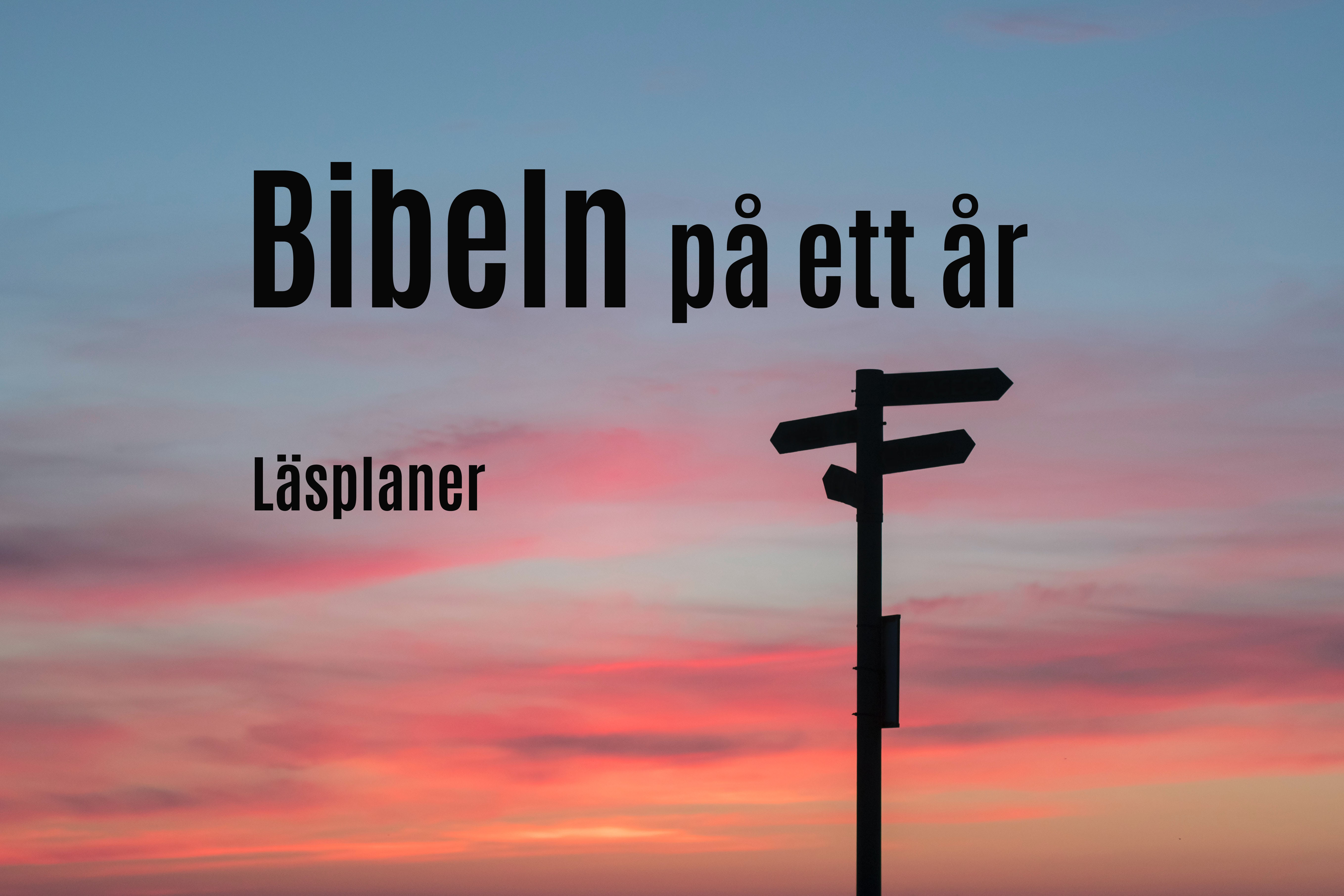 Bibeln på ett år | 5. Kvartbibel (Bibelsällskapets plan)